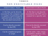Difference Between Executable And Non Executable Files Pediaa Com