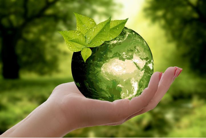What is the Difference Between Sustainable Development and Green ...