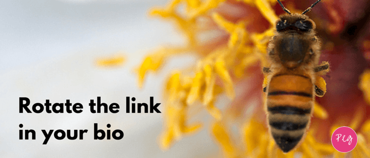 How to Build Buzz with Instagram for your Blog