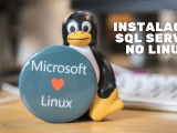 Instalação Microsoft Sql Server No Linux Pense Em Ti