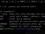 Jsshell Javascript Reverse Shell For Exploiting Xss Remotely