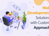 Web Development Solutions With Custom Approach Perceptioncare