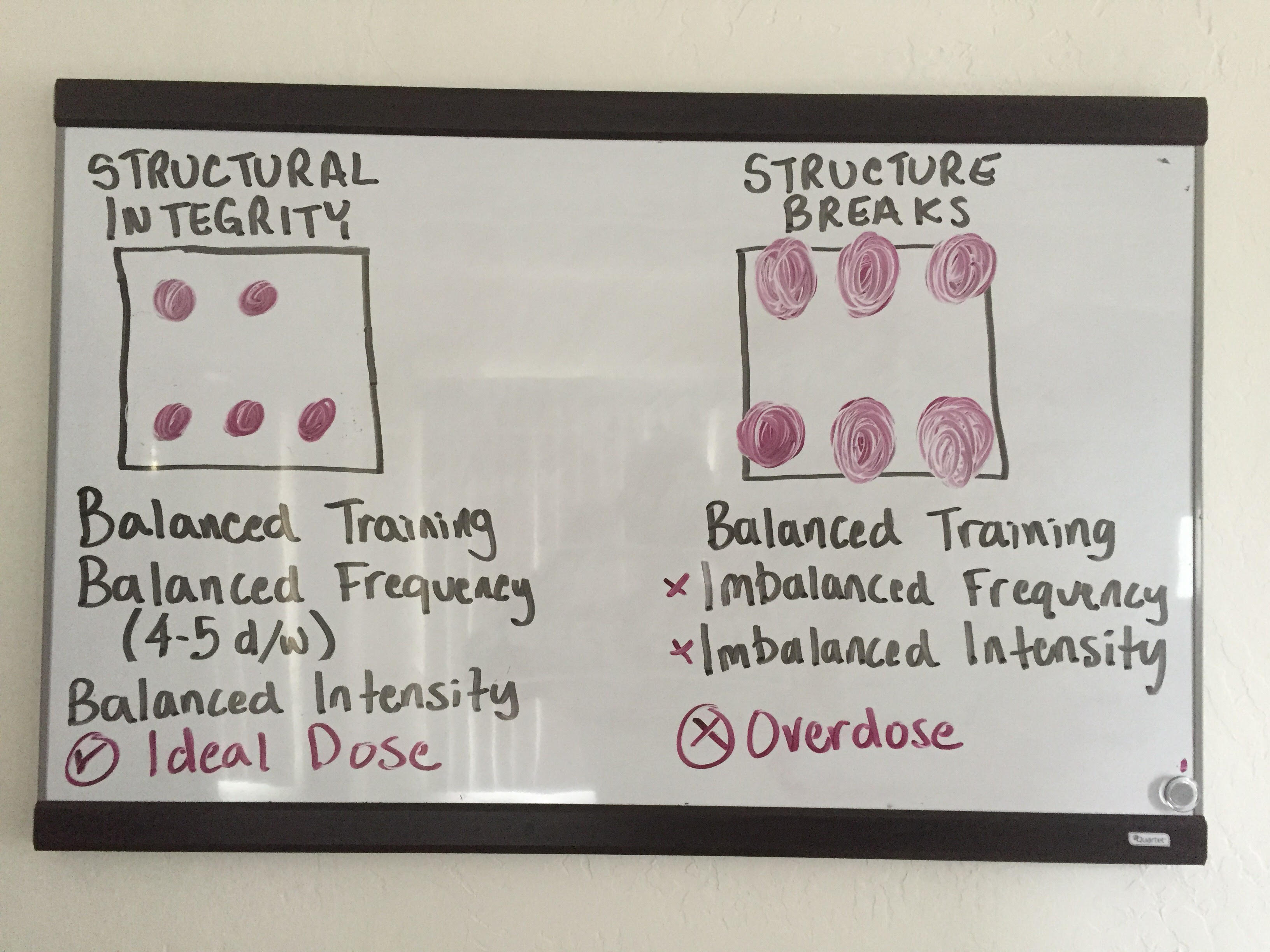 Micro vs. Macro Balance | Performance360