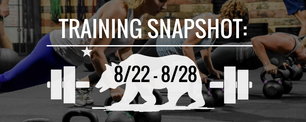 Understanding The Strength-Speed Continuum | Performance360