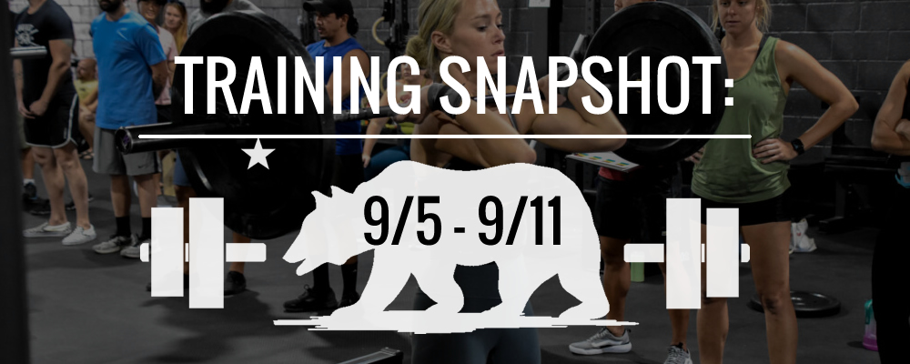 Understanding The Strength-Speed Continuum | Performance360