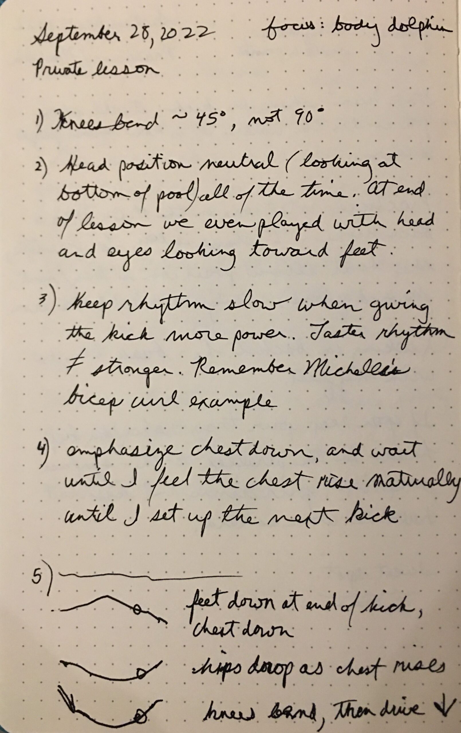 Optimize Skill Learning With Varied Experiences - Performance High