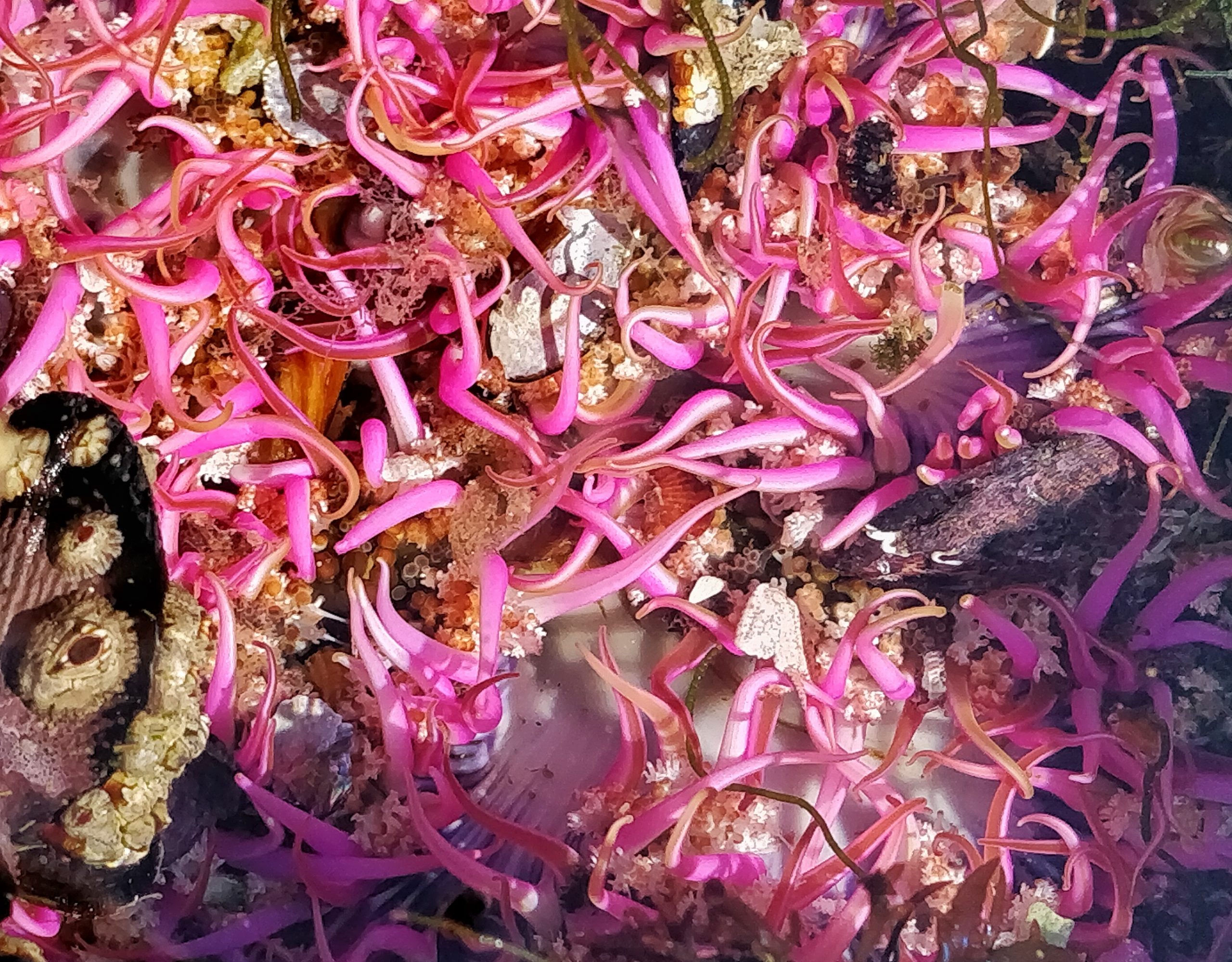 Here Is the Sea – Perrys to Chile