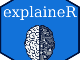 Machine Learning Model Explainer Explainer
