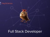Closed Software Developer Personal Programmer
