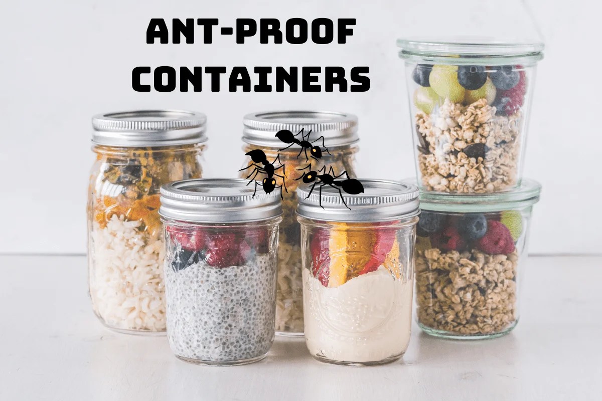 9 Best Ant-Proof Food Containers For Home [2023 Reviews] | Pest Circle