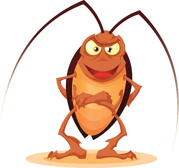 Do Cockroaches Bite? | Cockroach Exposed | Pestclue