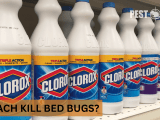 Does Bleach Kill Bed Bugs Eggs At Tyson Macgillivray Blog