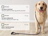 Petcode Digital Pet Tags With Nfc And Qr Code Technology