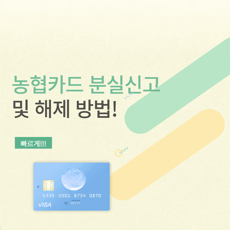 nh card guide - peterjun's life