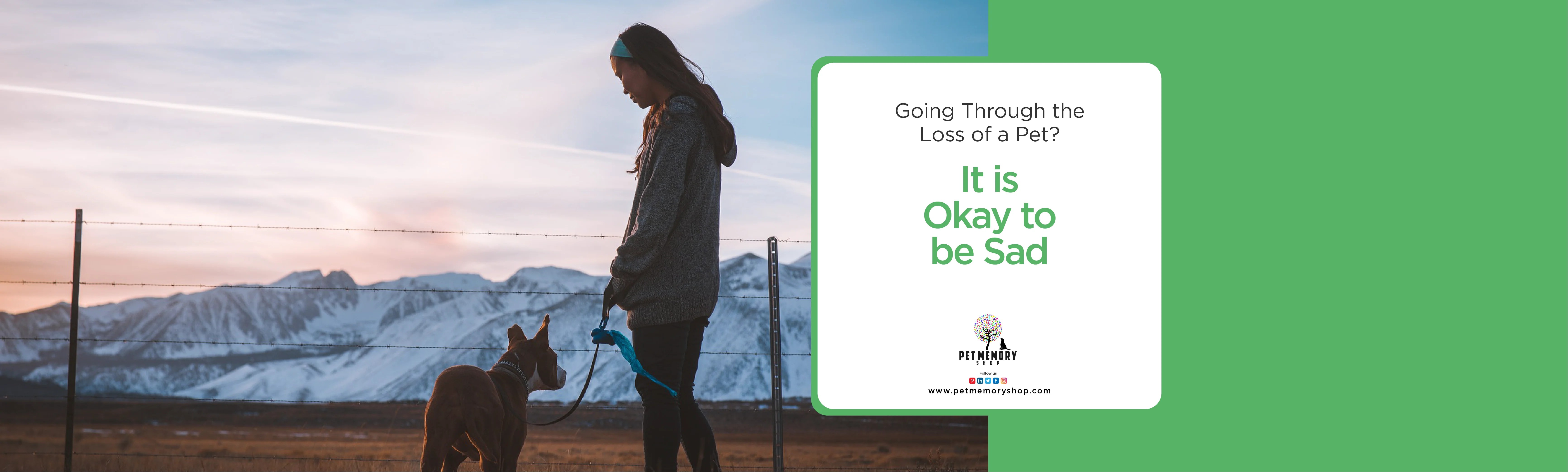 1 Pet Loss Web Resource Pet Loss Support Grief Resources Pet