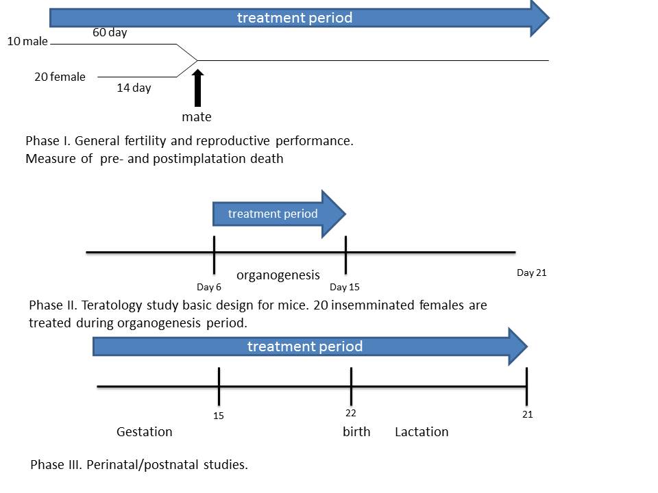 FDA Guidelines For Developmental and Reproductive Toxicology (DART ...
