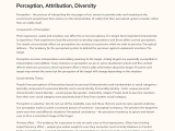 Perception Attribution Diversity Phdessay