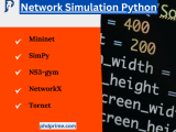 Network Simulation Python Project Topics