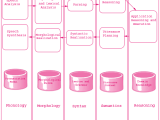 Phd Research Topic In Natural Language Processing Phd Projects