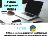 Python Assignment Writing