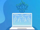 Lightning Tree Grid Table Inside Lightning Web Component Salesforce