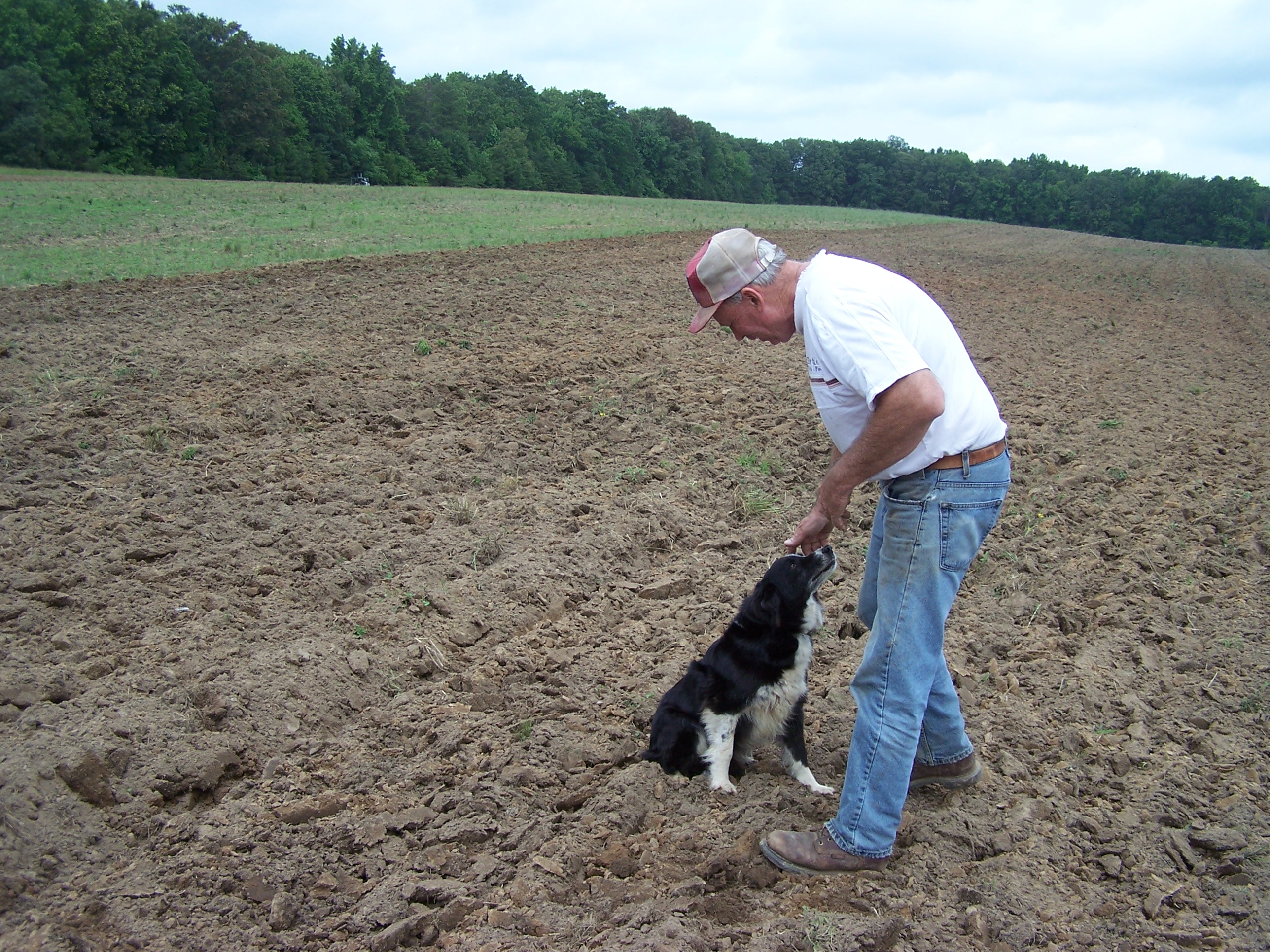 disked field | Country Chatter