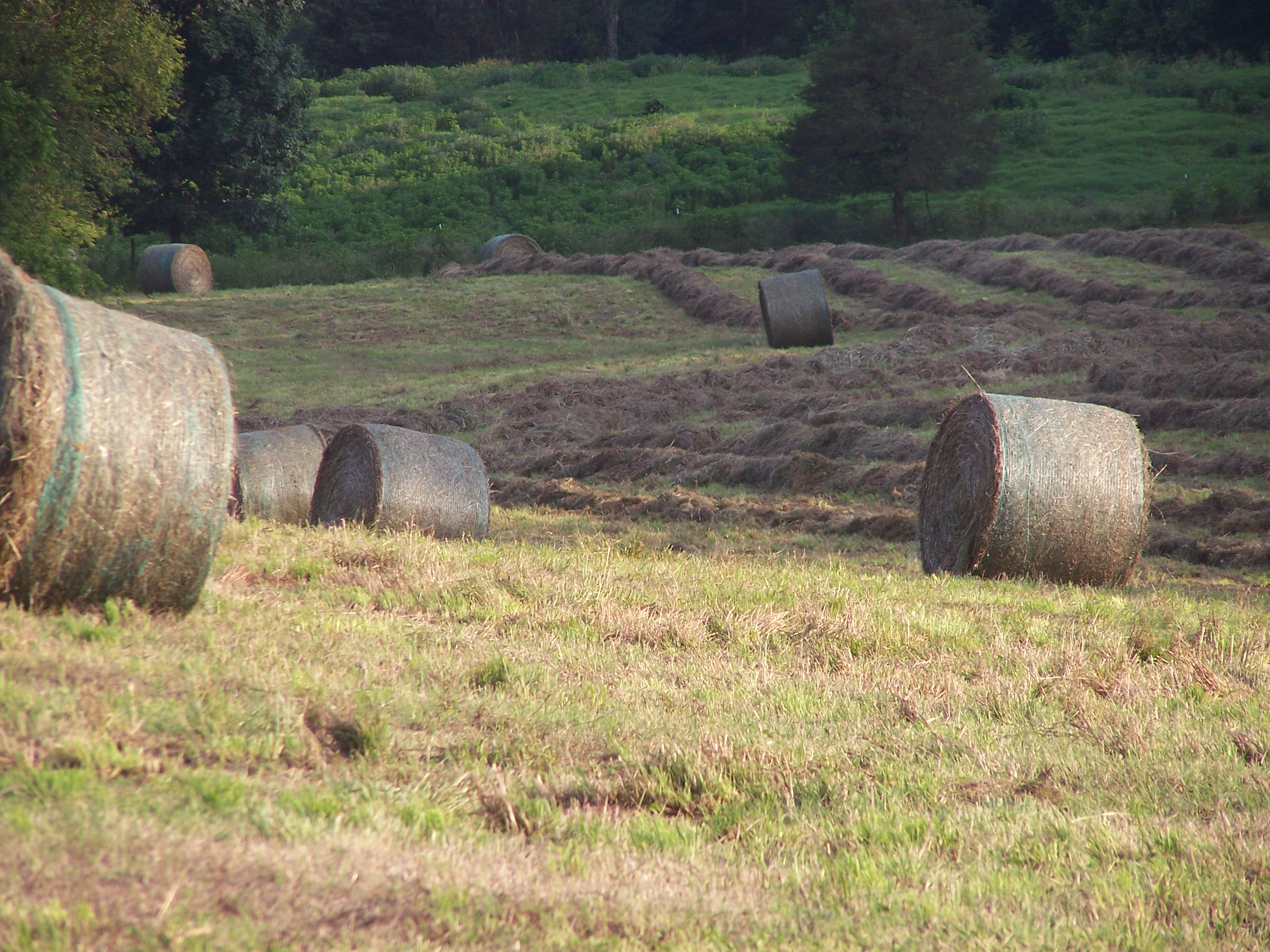 disked field | Country Chatter