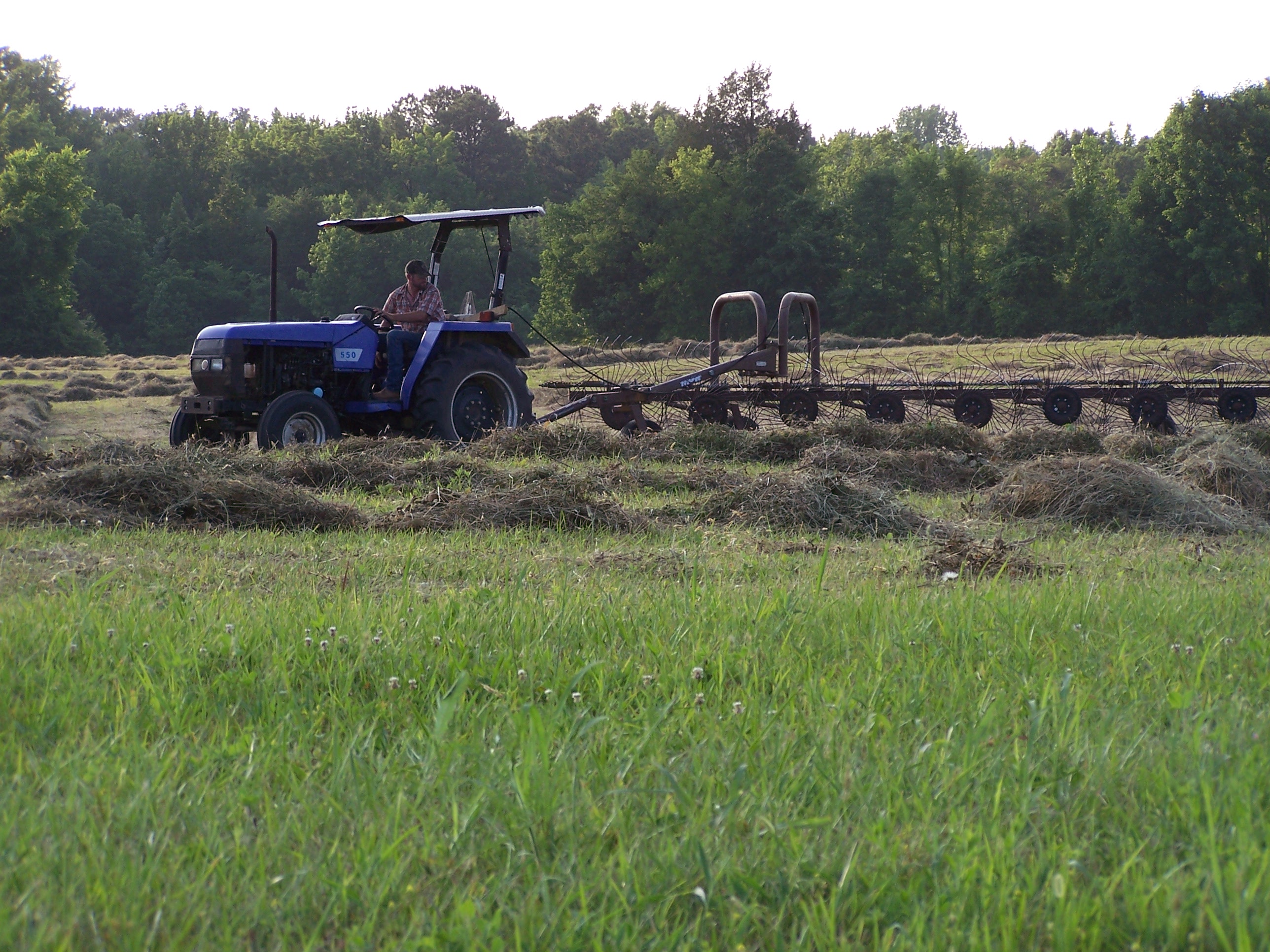 disked field | Country Chatter