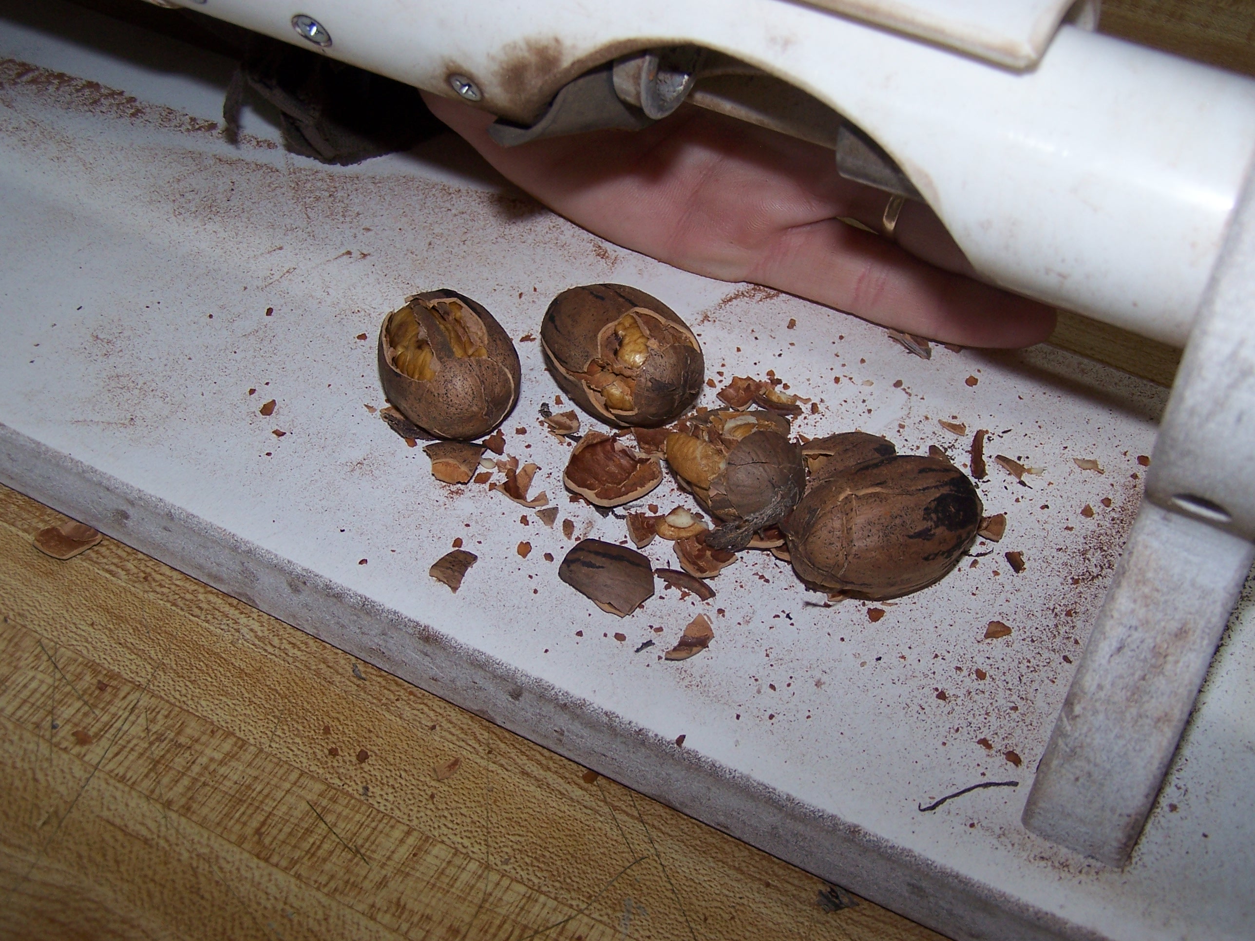 pecan sheller | Country Chatter