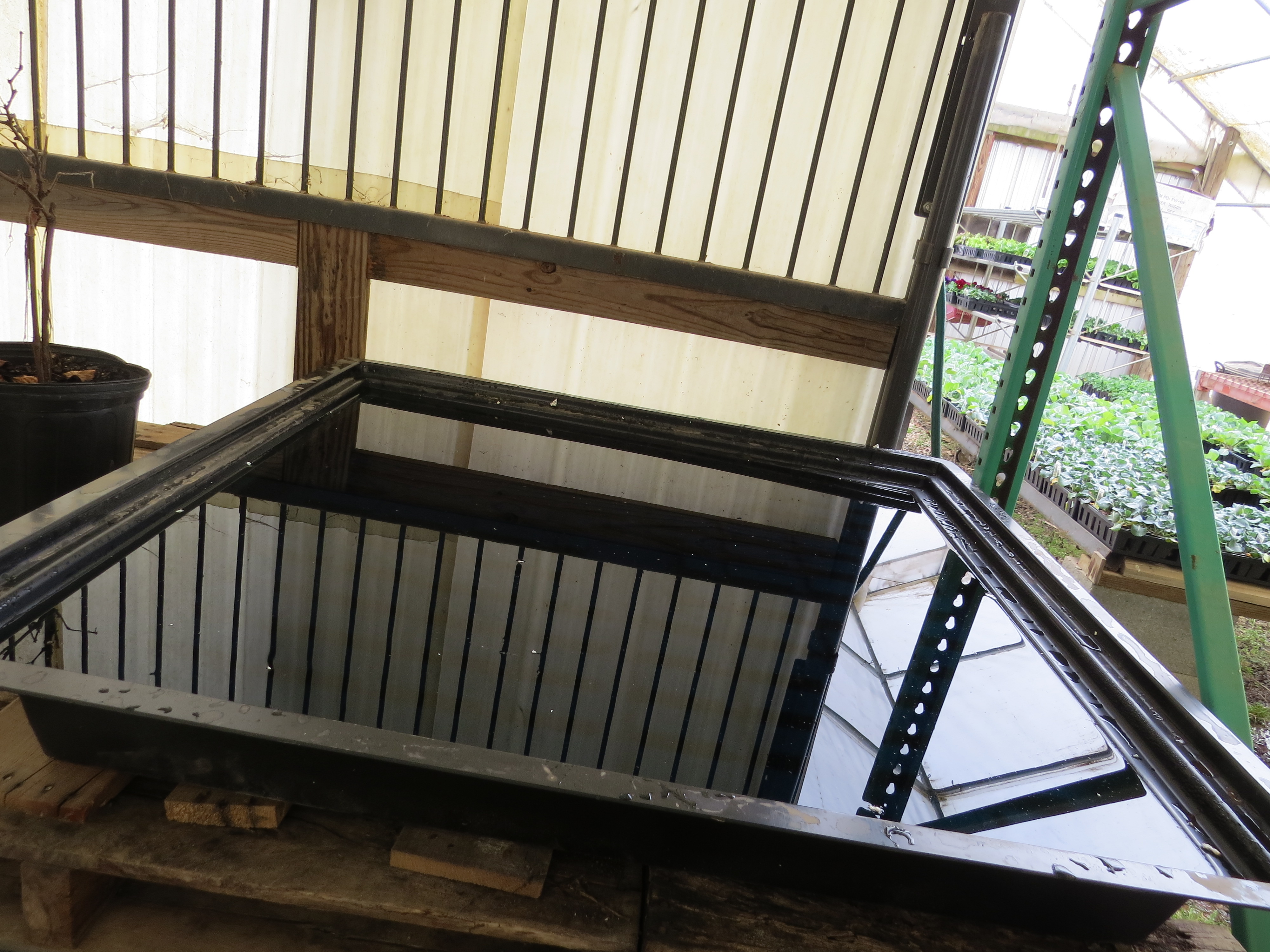 Hydroponics – Flood Table Style | Country Chatter