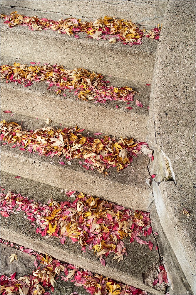 John Michael Kohler Arts Center in Fall – PHILLIP L. BLOCK