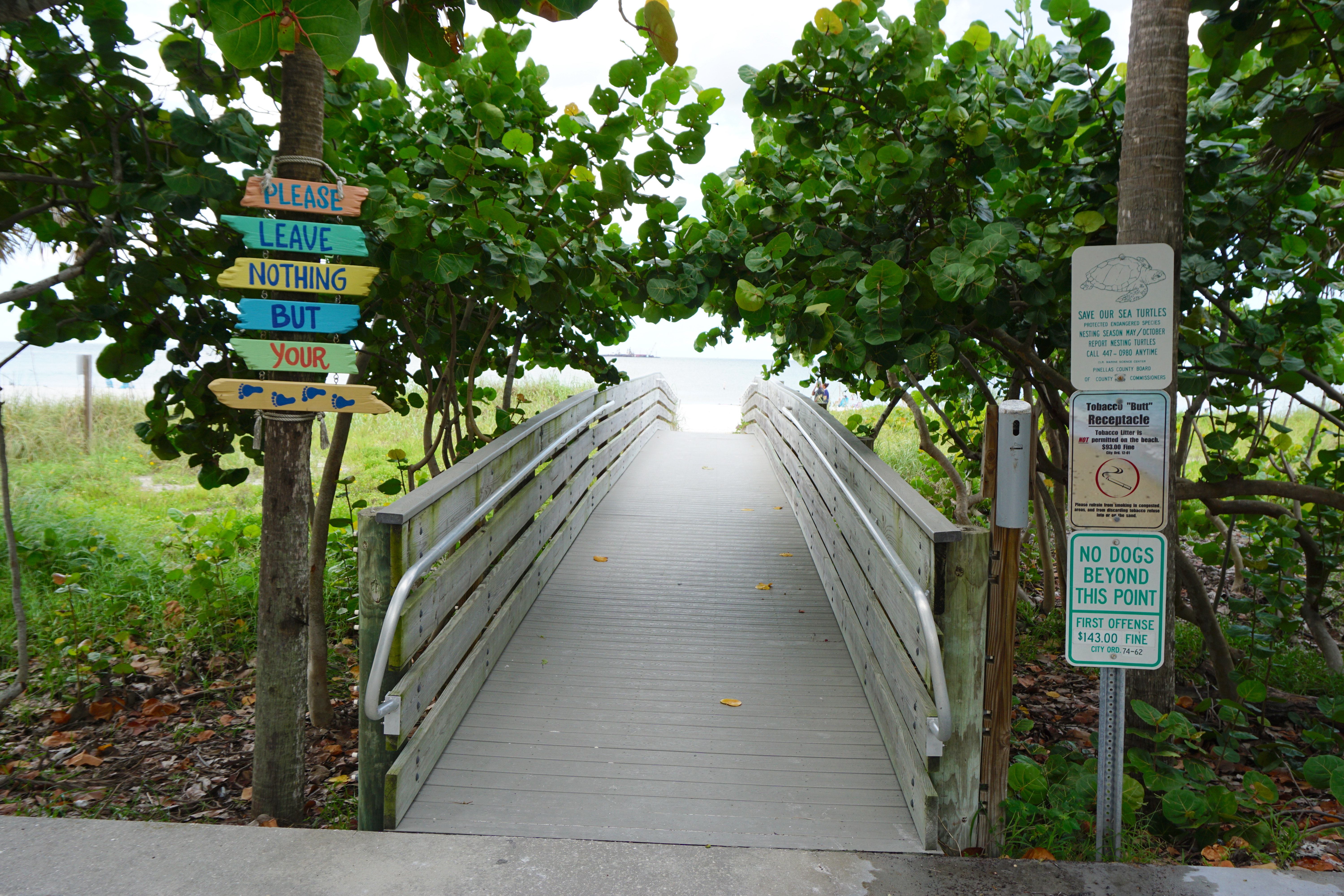 Review: Indian Rocks Beach