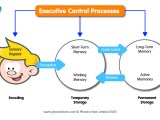 Controlled Processes