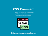 Css Comment Css Comment Tutorial Phpgurukul