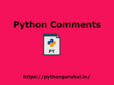 Python Comments Phpgurukul