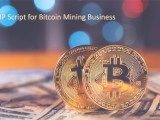 Hyip Script For Bitcoin Mining Business