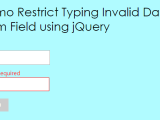 Restrict Typing Invalid Data In Form Field Using Jquery Phppot