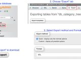 Phpmyadmin How To Export A Database Phppot