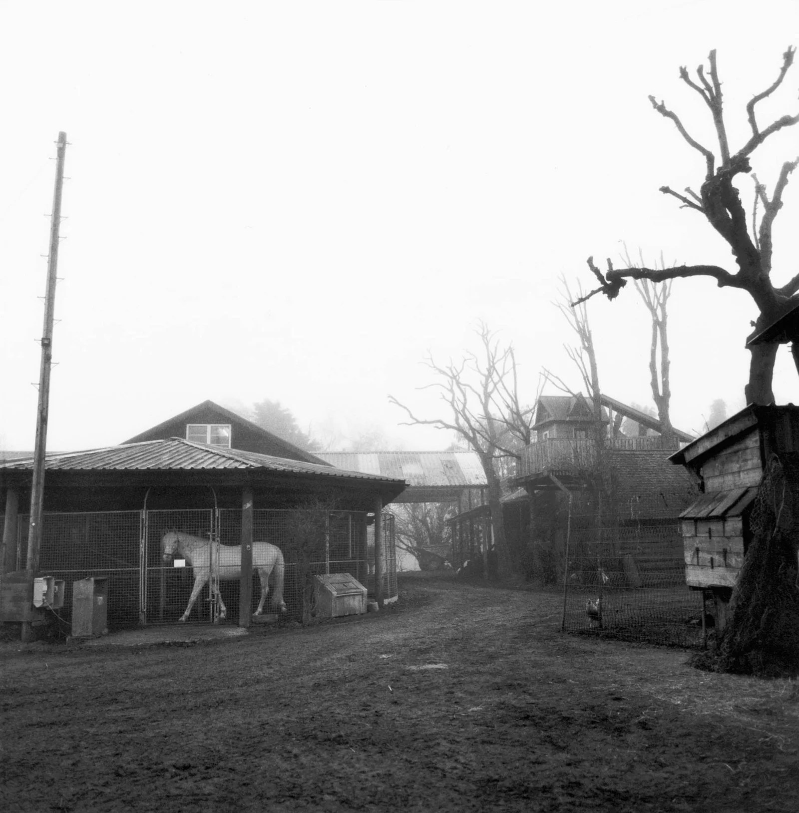 Constance Jaeggi - PHROOM