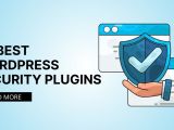 5 Best Wordpress Security Plugins For 2026