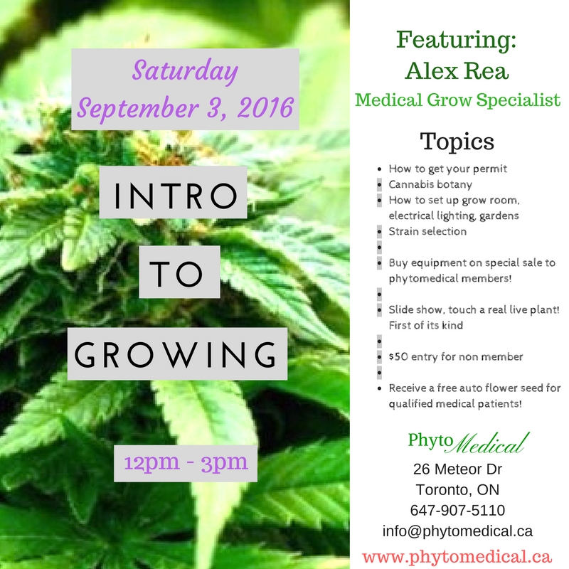 Introduction to Growing and How to get your Permit | Phytomedical