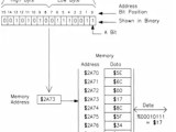 Understanding The Fundamentals Exploring Microprocessor