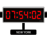 Synchronized Clock Systems Sapling