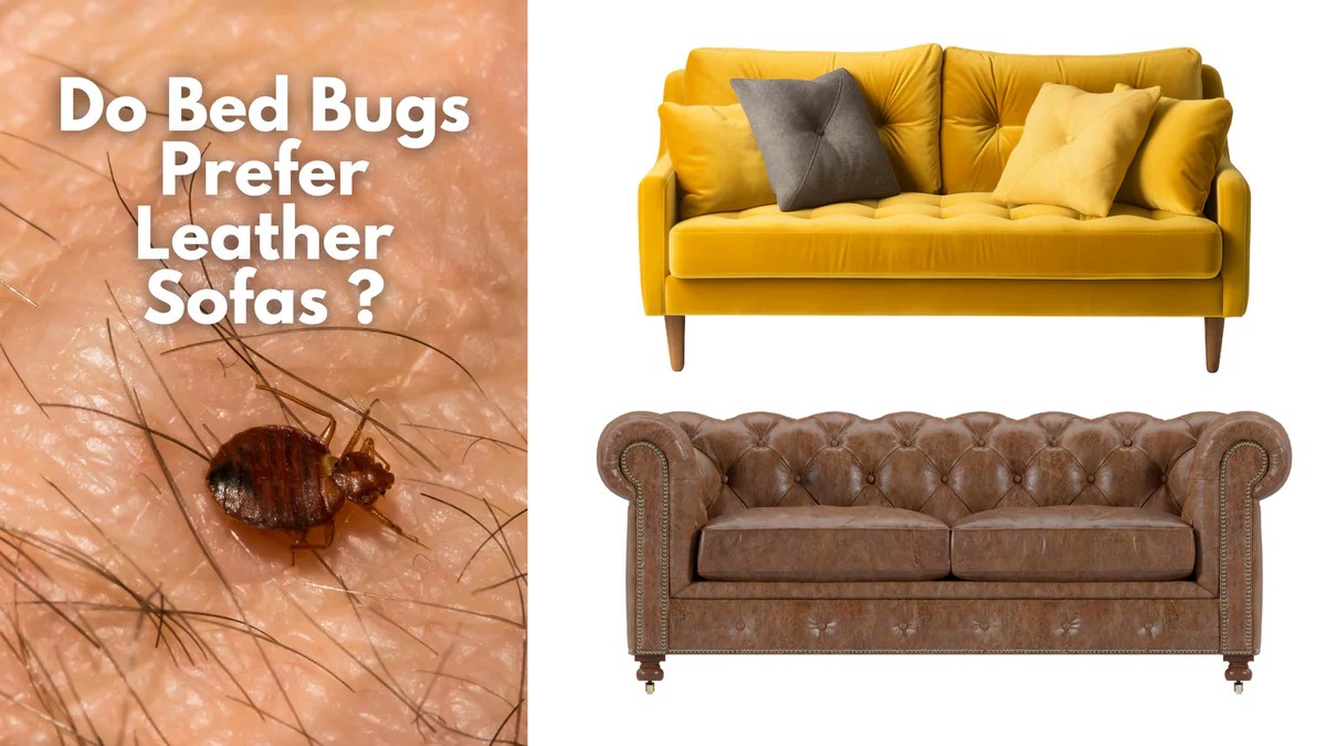 Semi Aniline Leather Vs Full Aniline Leather Understanding The Diffe