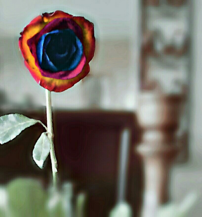 How to change the colors of an object in a picture? – TGFP