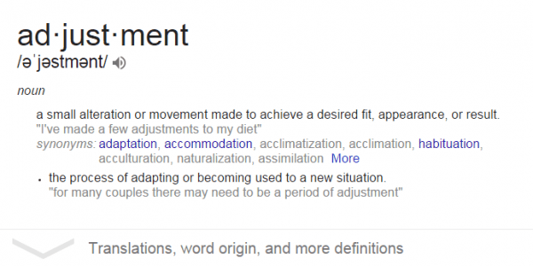 MAKE ADJUSTMENTS – What Real Entrepreneurs Must Often Do In Order To ...