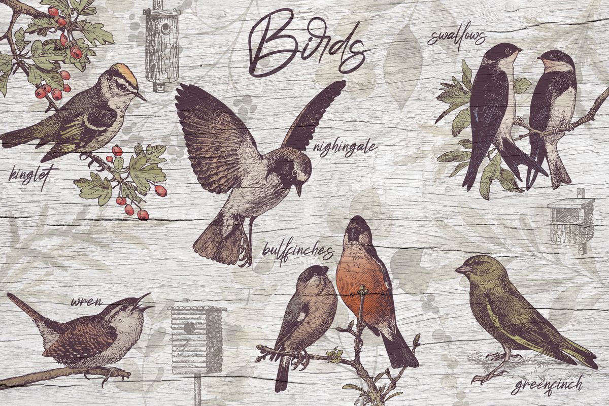 Rustic Birds Chart Pineapple Licensing