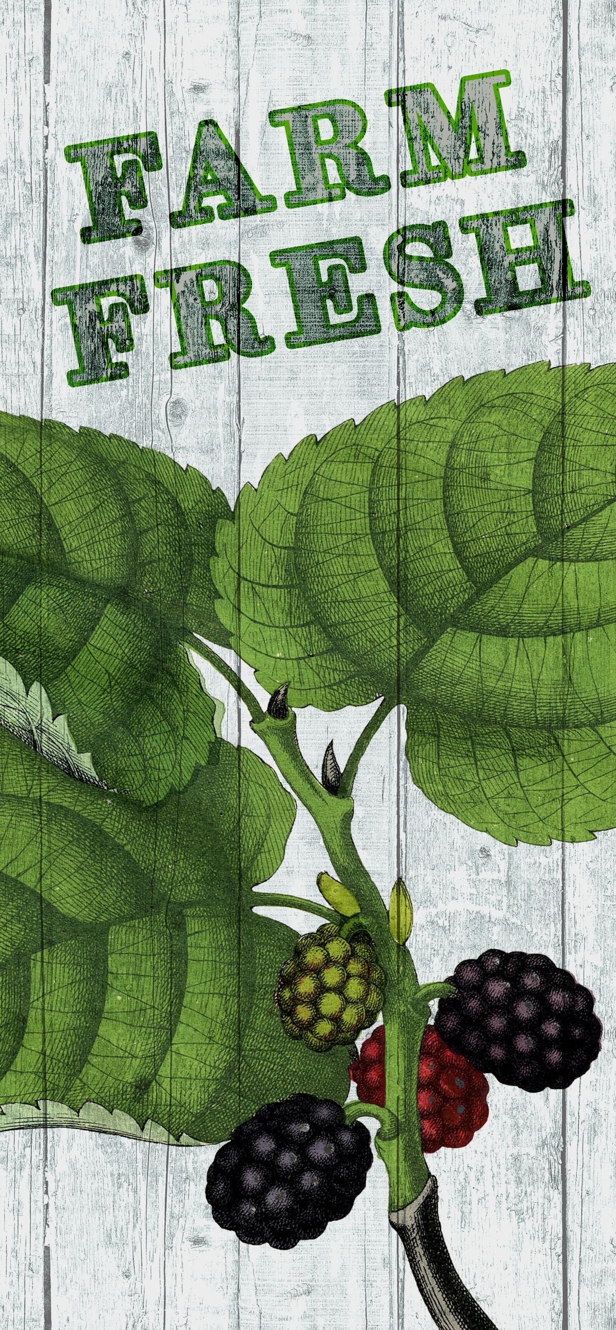 Fresh Berries Pineapple Licensing