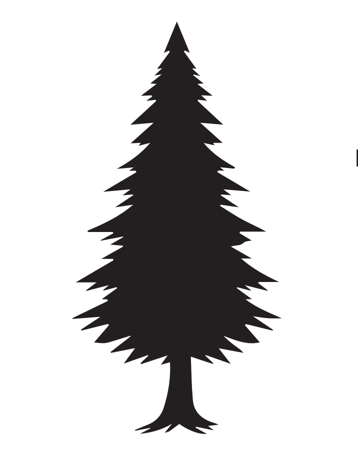 Pine Forest Vacation Cabins – Ultimate Family Vacation Rentals of ...