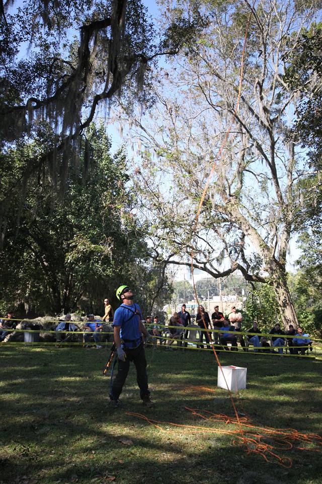 Tree Climbing Competitions — B&T's Tree Service